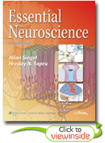 Essential Neuroscience, Second Edition