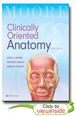 Clinically Oriented Anatomy, Eighth Edition