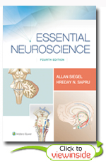 Essential Neuroscience, Fourth Edition