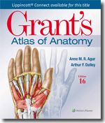 Image Bank for Grant's Atlas of Anatomy, Sixteenth Edition